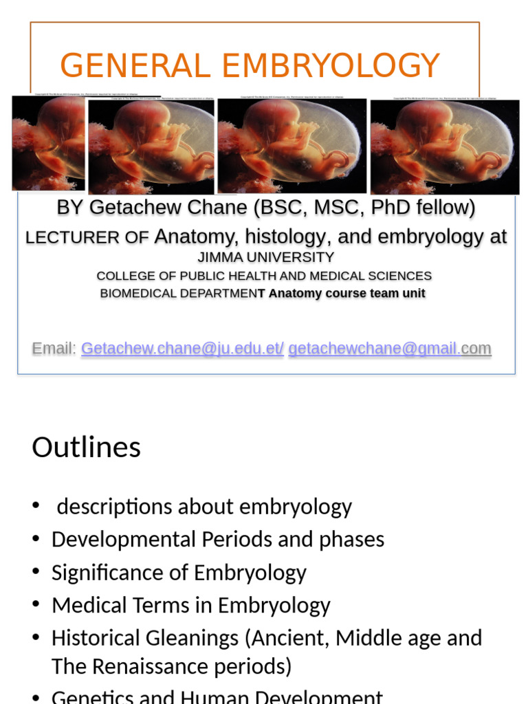 Embryo Lecture 1 Introduction To Embryology (2019) | PDF | Embryo ...