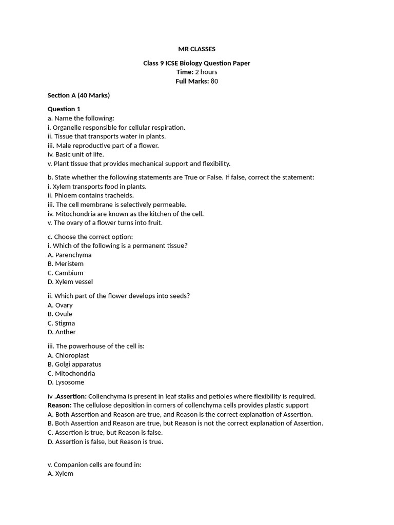 MR CLASSES Class 9 Test 3 | PDF | Plant Stem | Tissue (Biology)