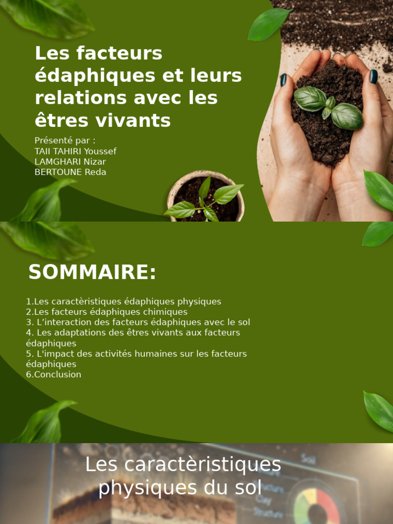 Tree Care Workshop to Celebrate Sri Lanka's Tree Planting Day by ...