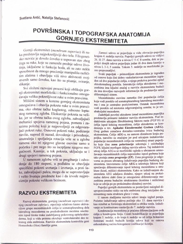 Topografska Anatomija | PDF