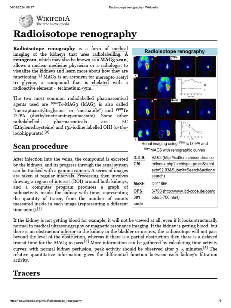 Radioisotope Renography Overview | PDF | Nuclear Medicine | Urinary System