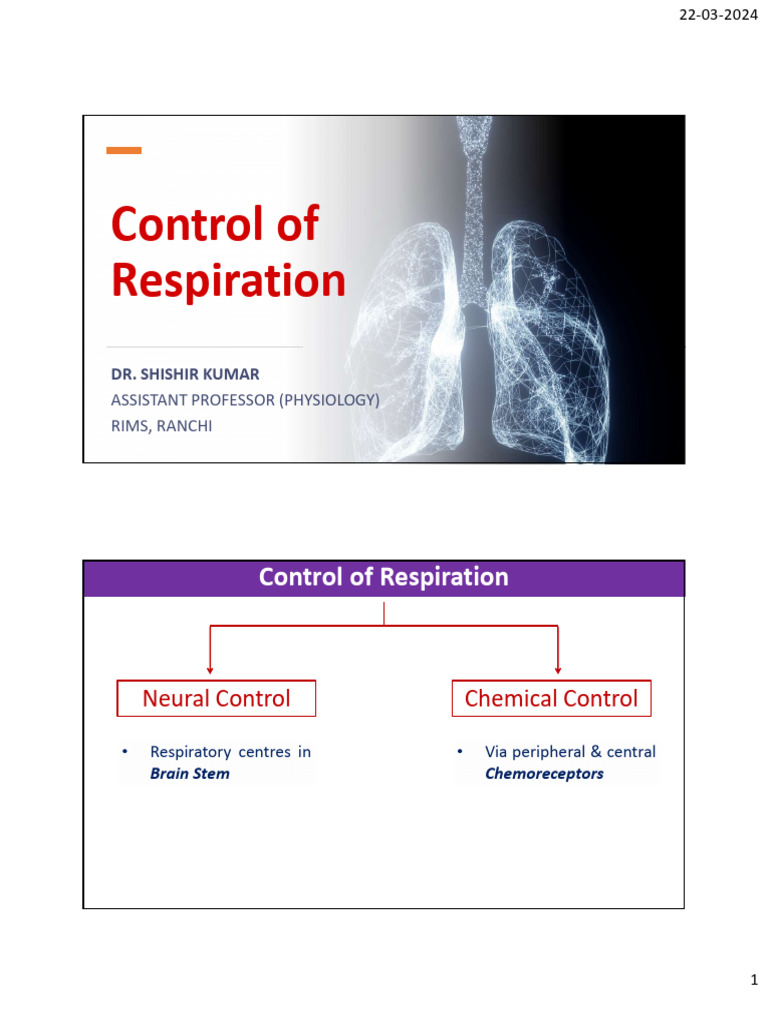 Respiratory System Handouts 06 | PDF | Physiology