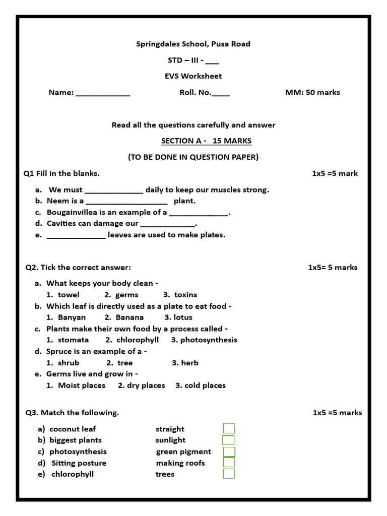EVS Worksheet for Grade III Students | PDF | Leaf | Exhalation