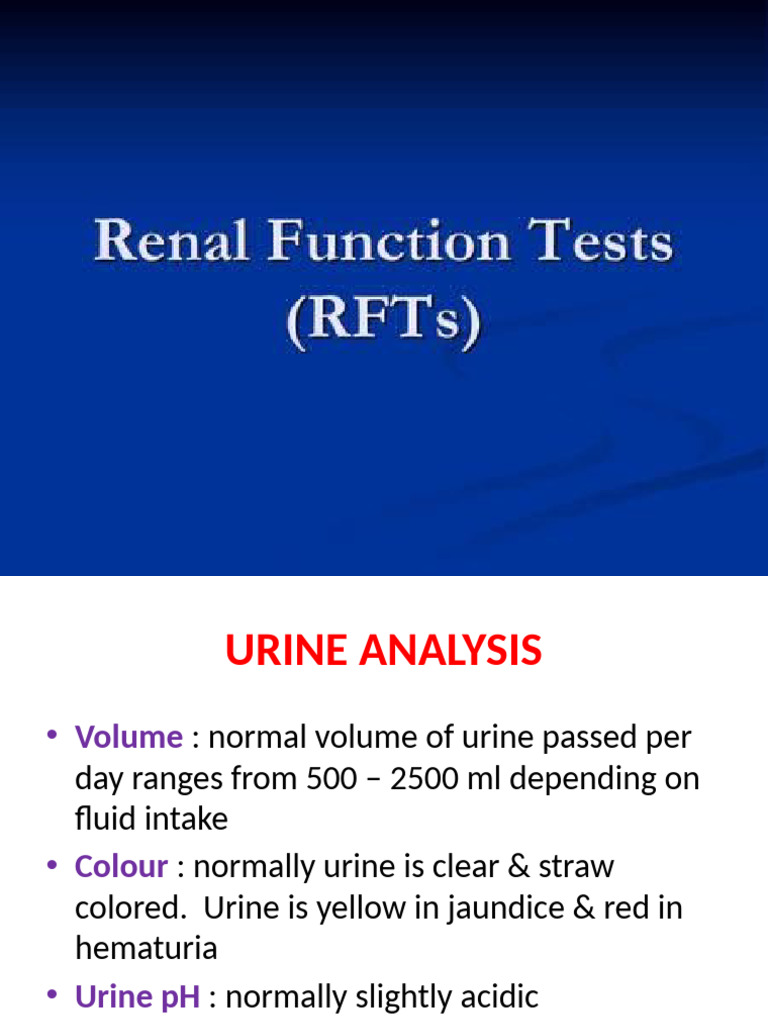 Renal Function Test | PDF