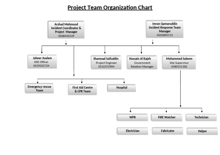 Project Team Organization Chart | PDF
