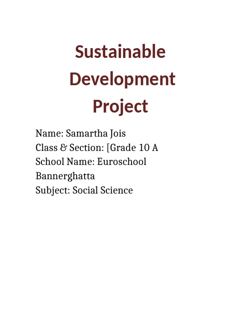 Sustainable Development Project Overview | PDF | Sustainability ...