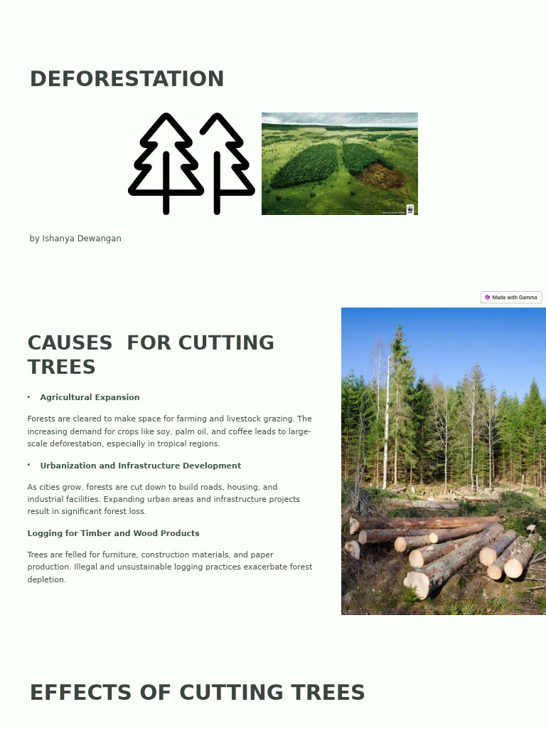 Causes and Effects of Deforestation | PDF