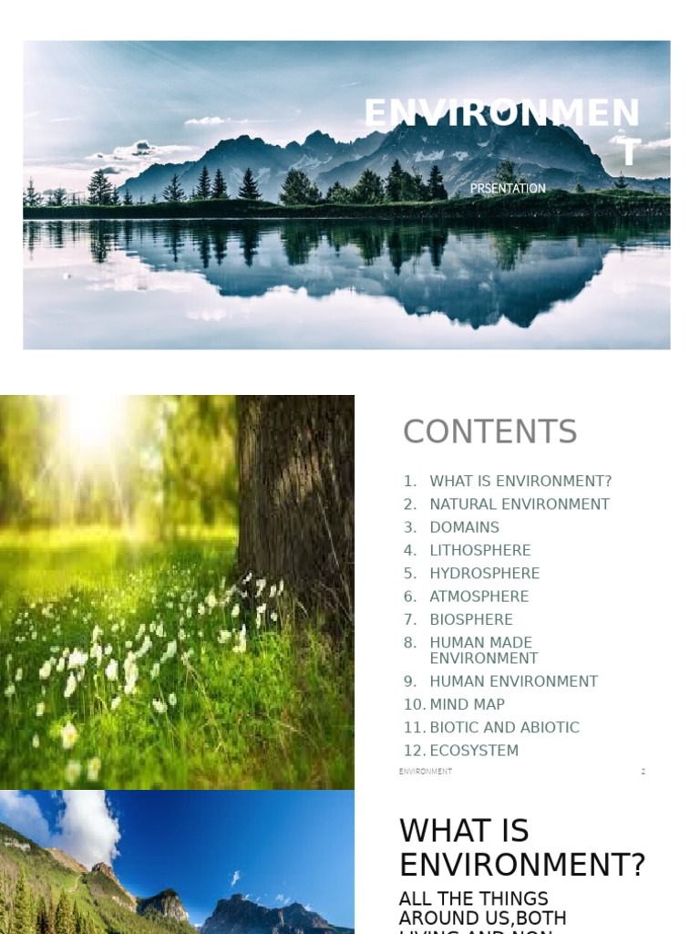 OUR ENVIRONMENT (Final) 2 | PDF | Natural Environment | Ecosystem