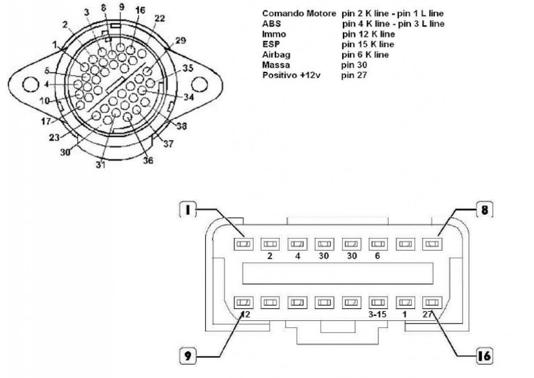 PIN DAILY | PDF