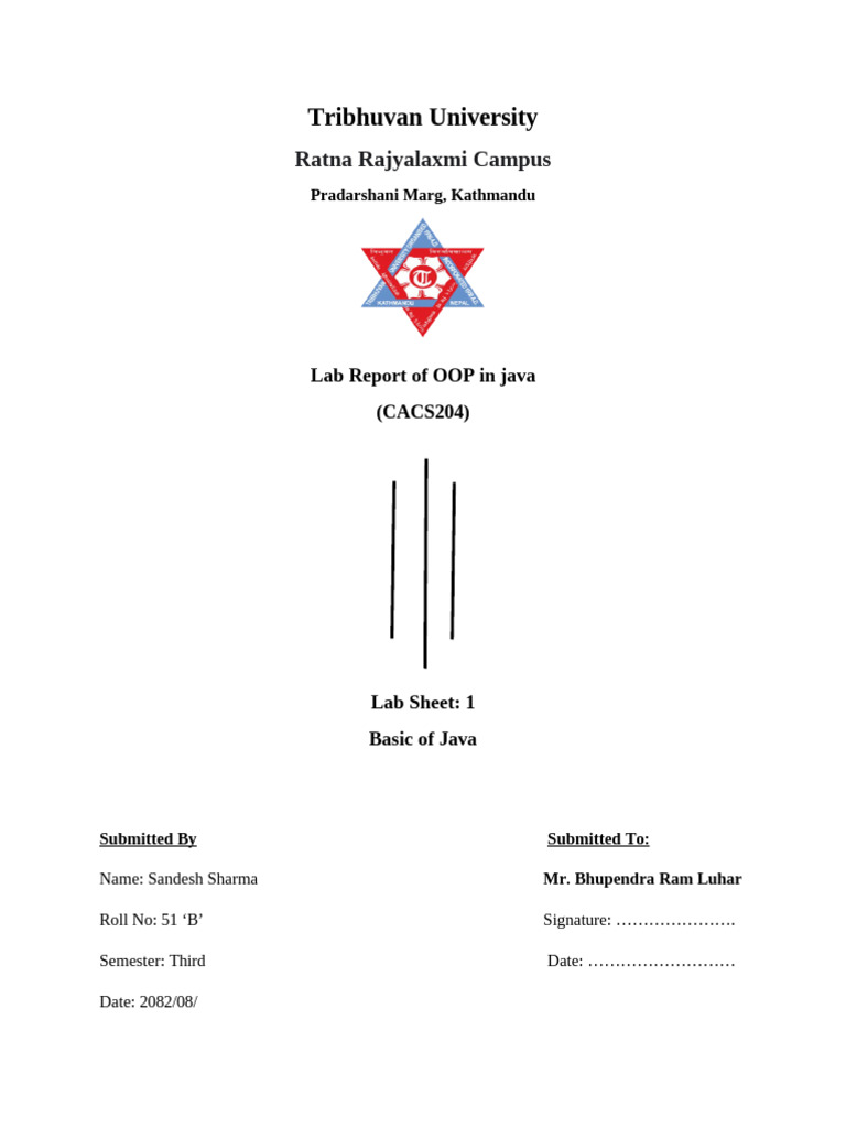 Sample Lab Report Cover Page | PDF