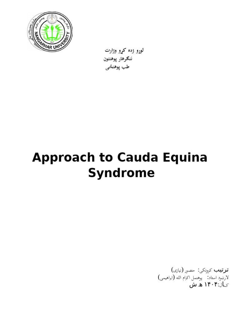 Cauda Equina Syndrome | PDF