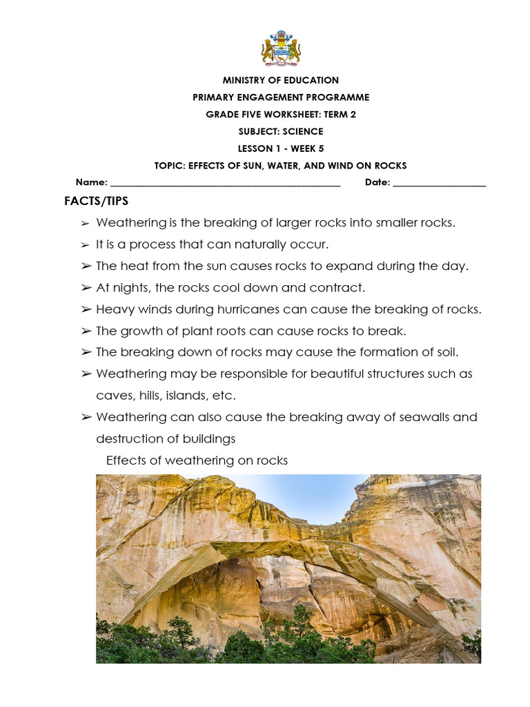 Grade 5 Science Weeks 5-8 Worksheets - Term 2 | PDF | Moon | Filtration