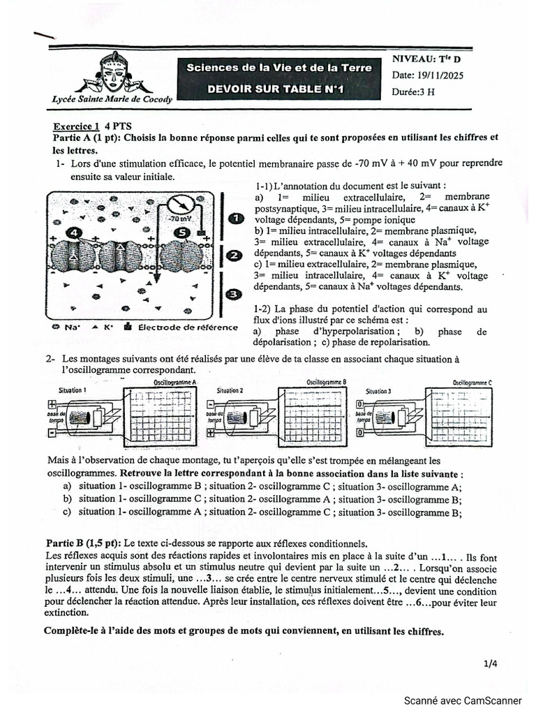 DST Tle D | PDF