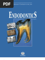 Vertucci Classification and More | PDF