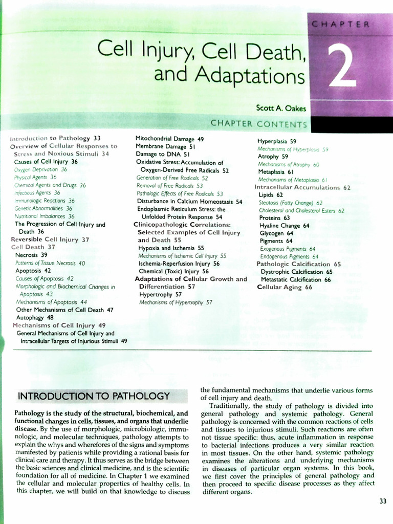 Understanding Cell Injury and Death | PDF | Pathology | Apoptosis