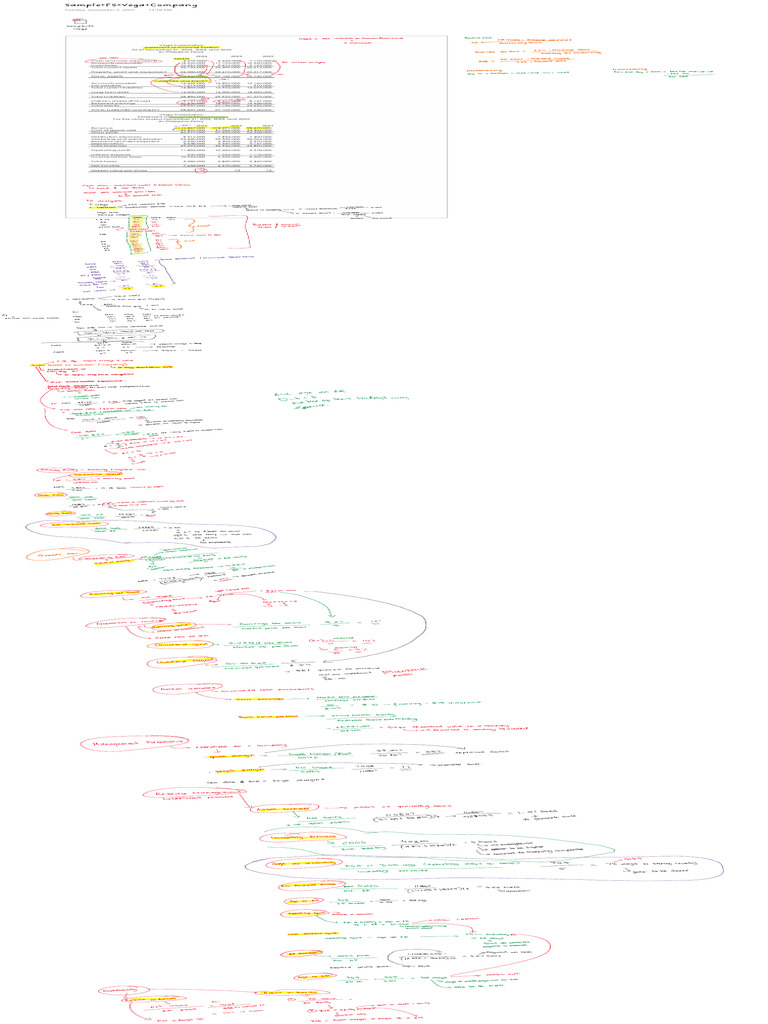 Sample+FS+Vega+Company | PDF
