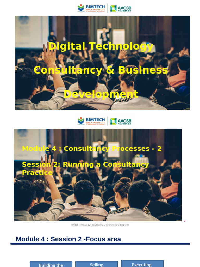 Strategies for Growing IT Consultancy | PDF