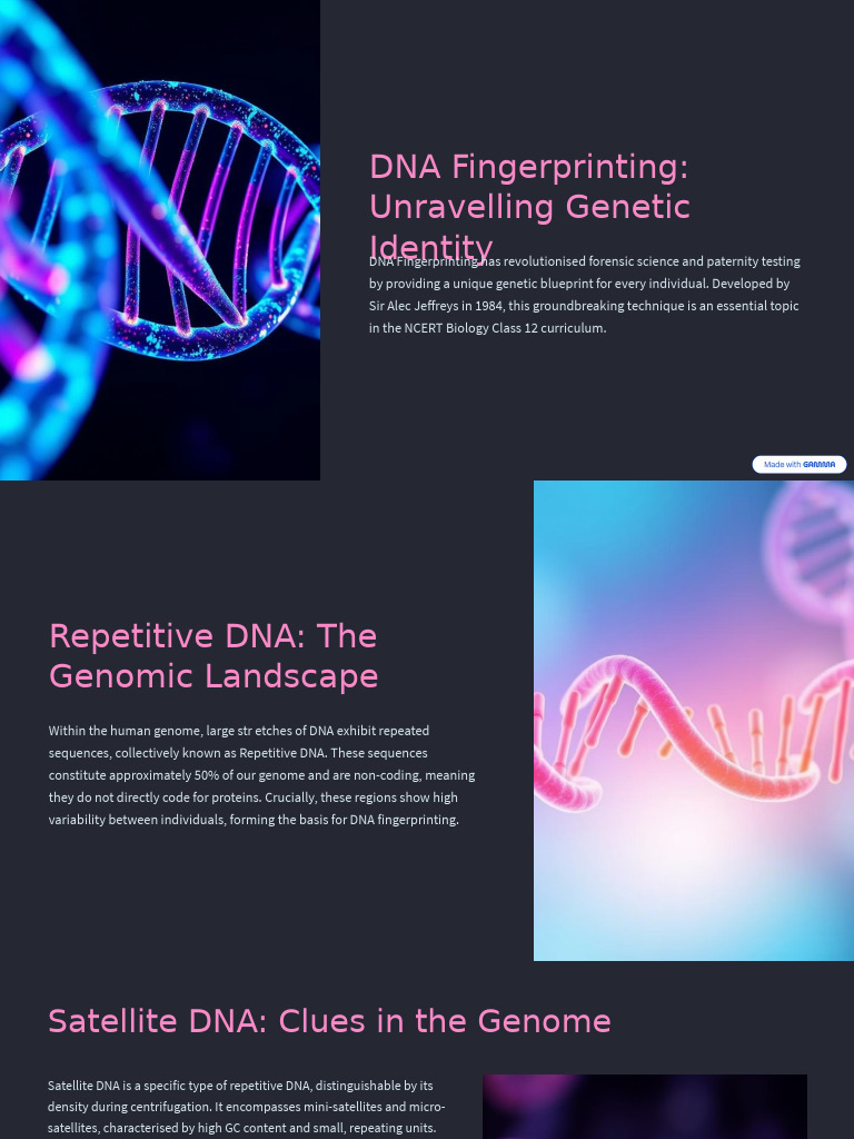 DNA Fingerprinting: Genetic Identity Explained | PDF | Dna Profiling | Dna