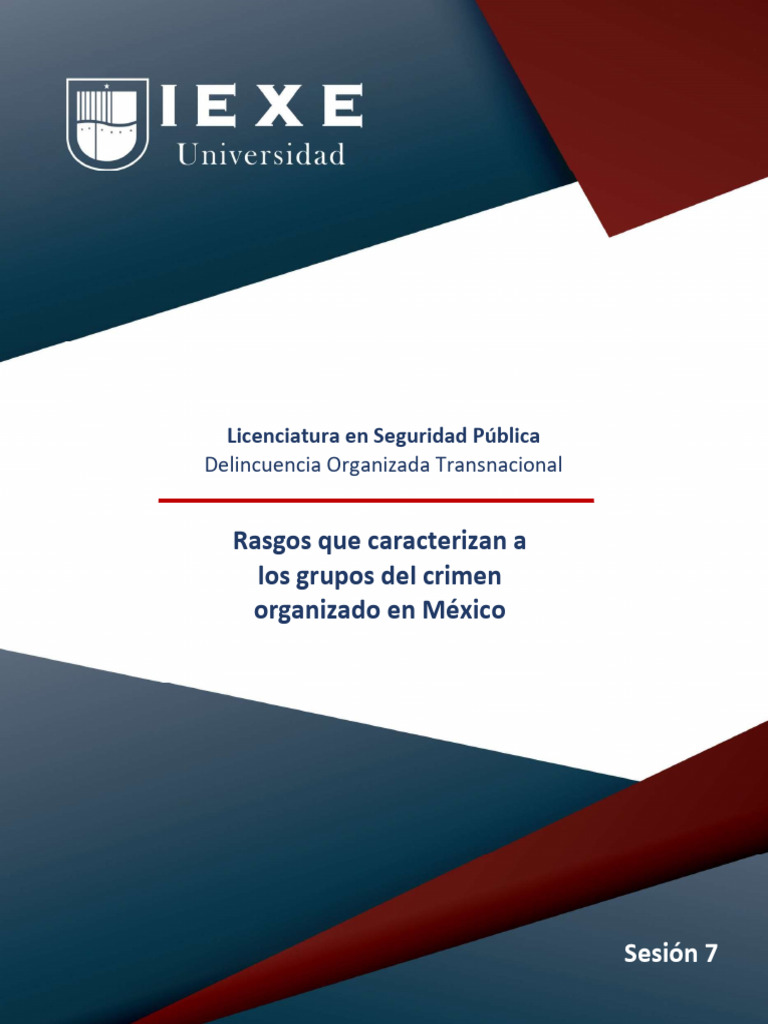 DOT.S7 | PDF | Crimen organizado | México