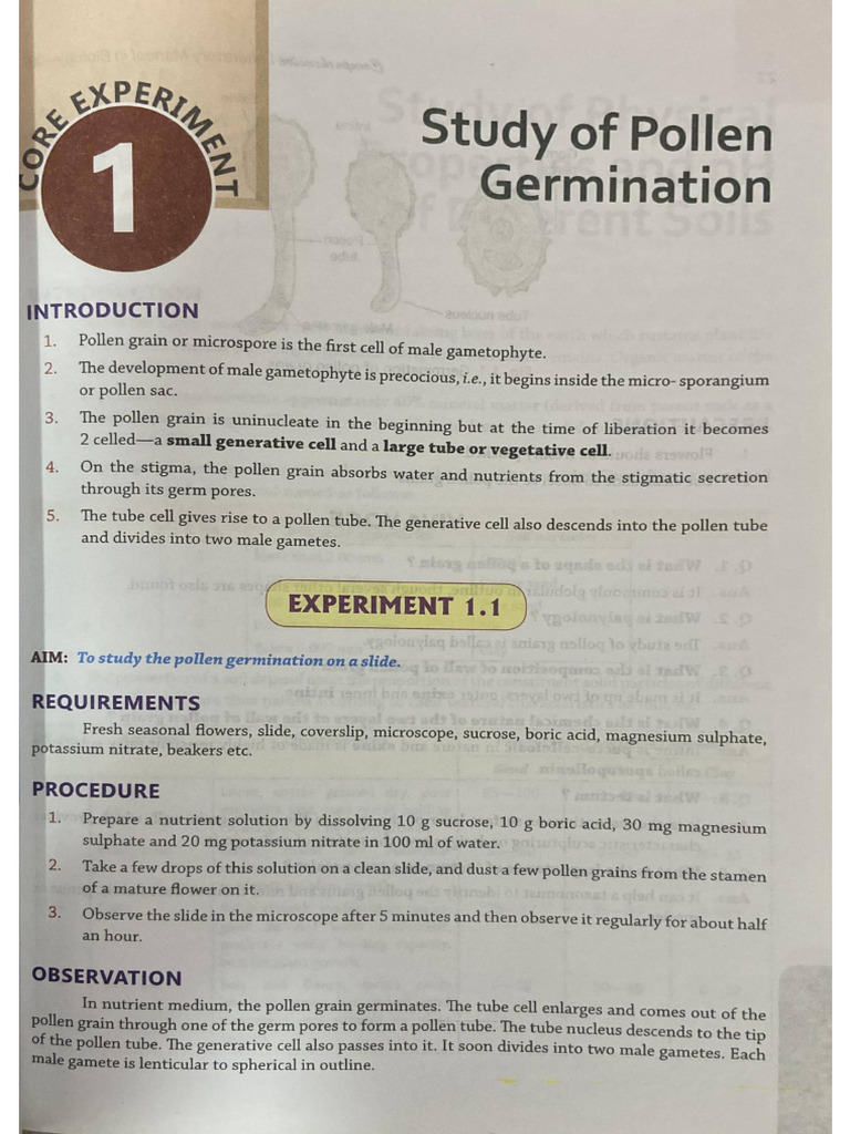 Biology Practical Class 12 | PDF
