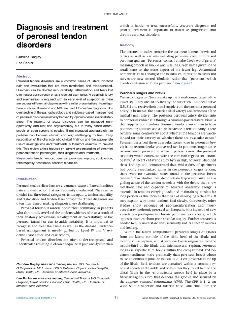 Diagnosis and Treatment of Peroneal Tendon Disorders | PDF