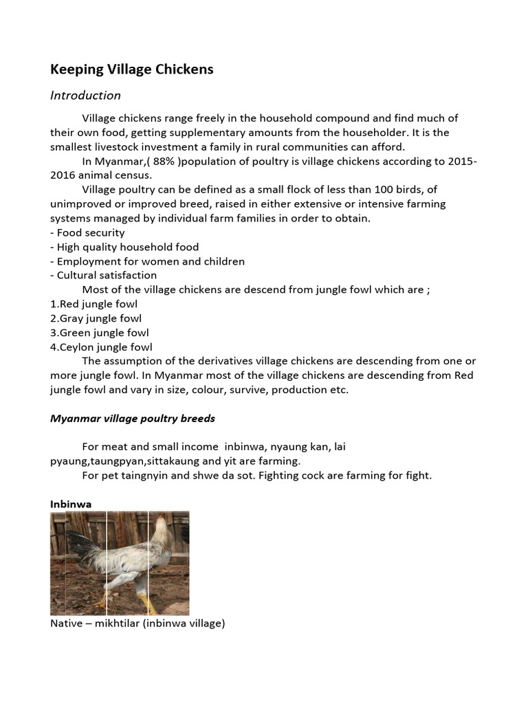 Villgae Chicken | PDF | Chicken | Vaccines