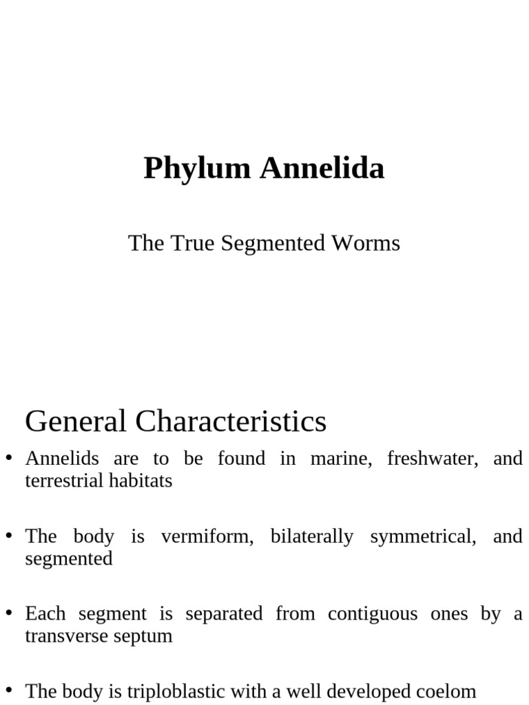 Overview of Annelida: Segmented Worms | PDF