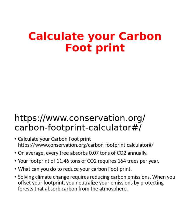 Assignment Calculate Your Carbon Foot Print | PDF