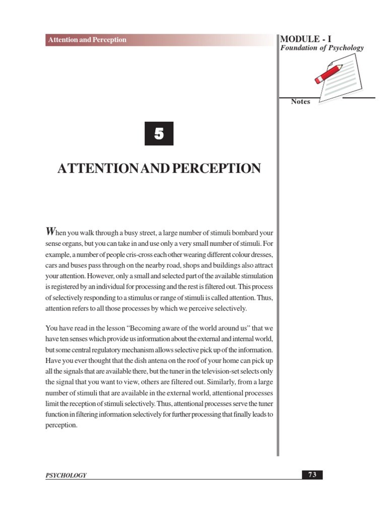 Attention and Perception | PDF | Perception | Attention