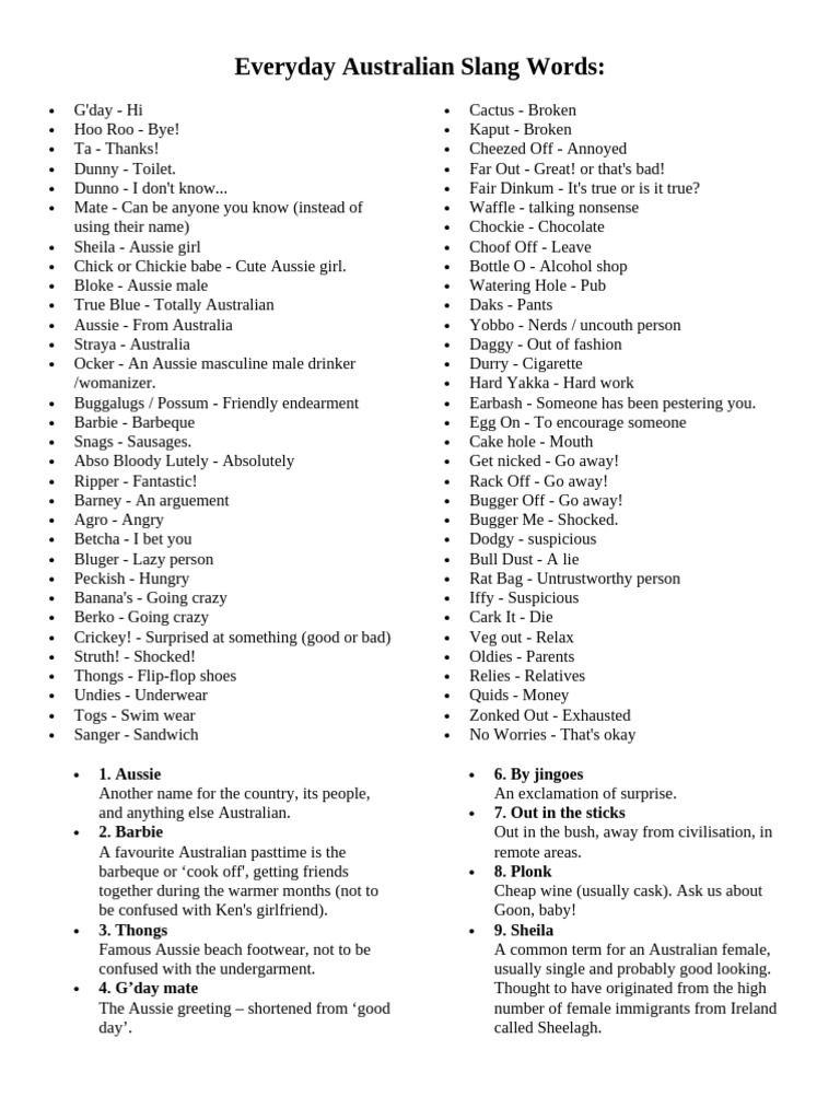 Essential Australian Slang Terms | PDF