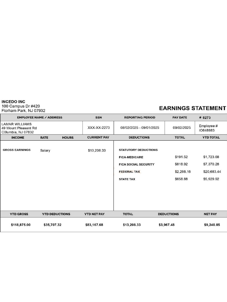 Paystub 08 | PDF
