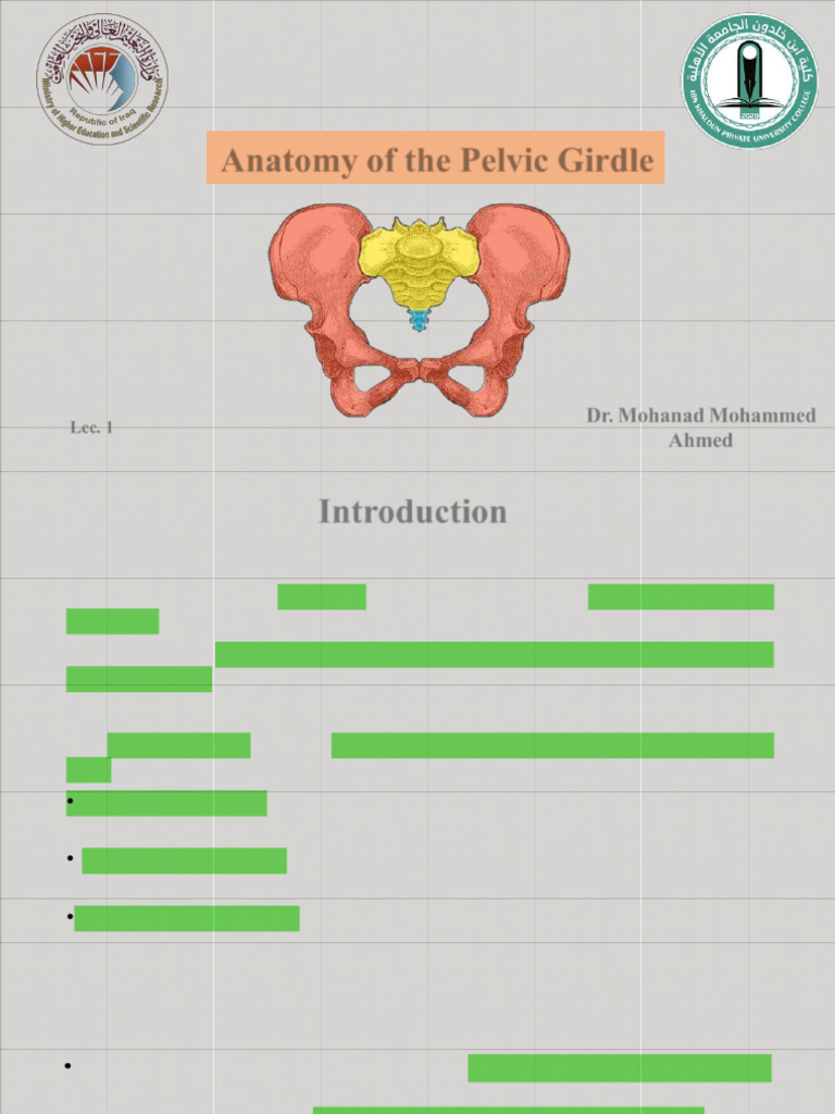 Lec.1 Anatomy of the Pelvic Girdle2 | PDF | Pelvis | Hip