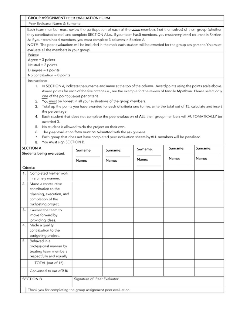 6 Group Members Peer Evaluation | PDF