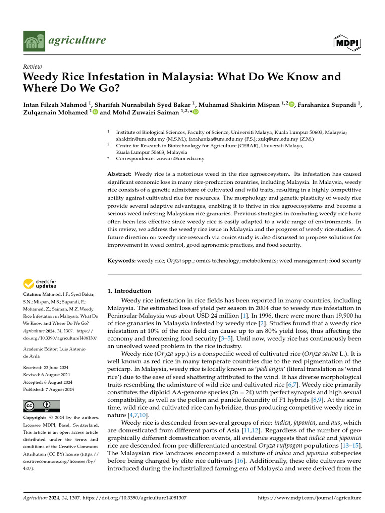 2024 Weedy Rice Infestation in Malaysia What Do We Know and Where Do We ...