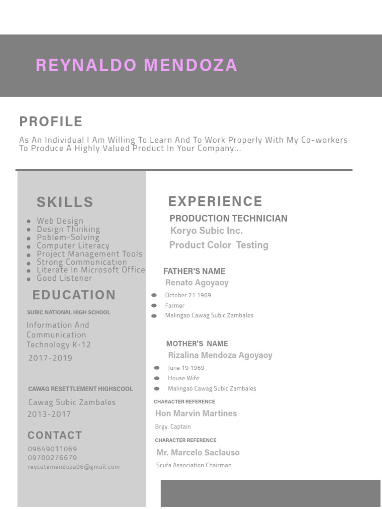 Resume example template | PDF