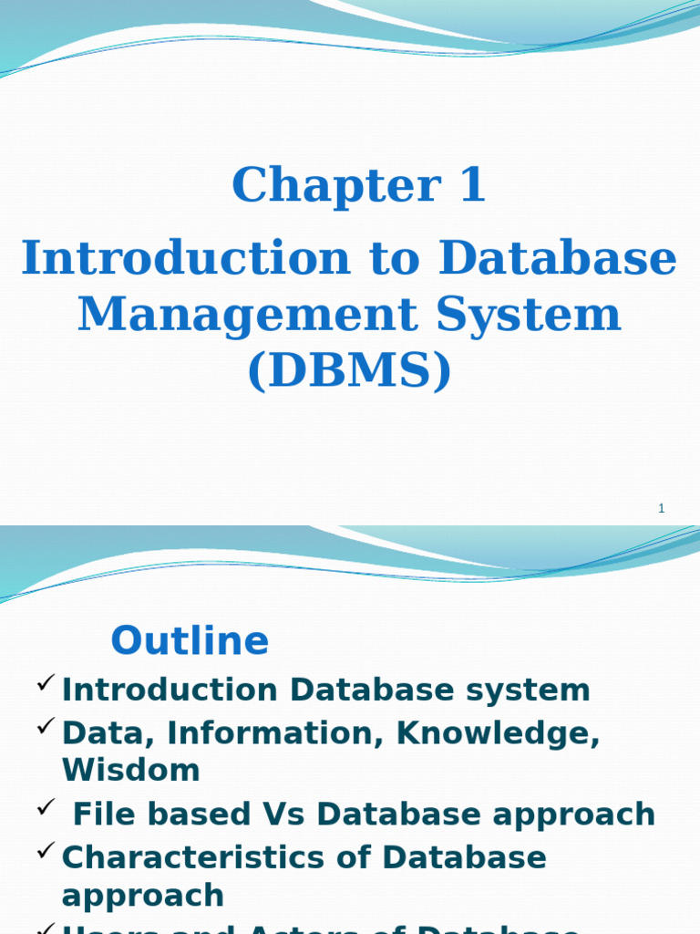 11 .Database Chapter 1 | PDF | Databases | Sql