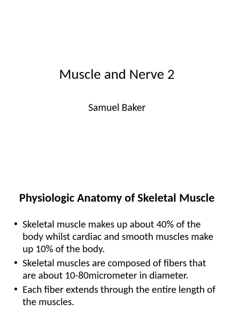 Anatomy and Function of Skeletal Muscle | PDF | Muscle Contraction ...