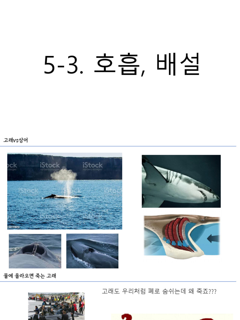 2í ë _5-3.í ¸í ¡,ë°°ì ¤ | PDF