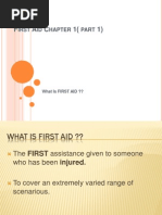 First Aid Scene Assessment Guide | PDF