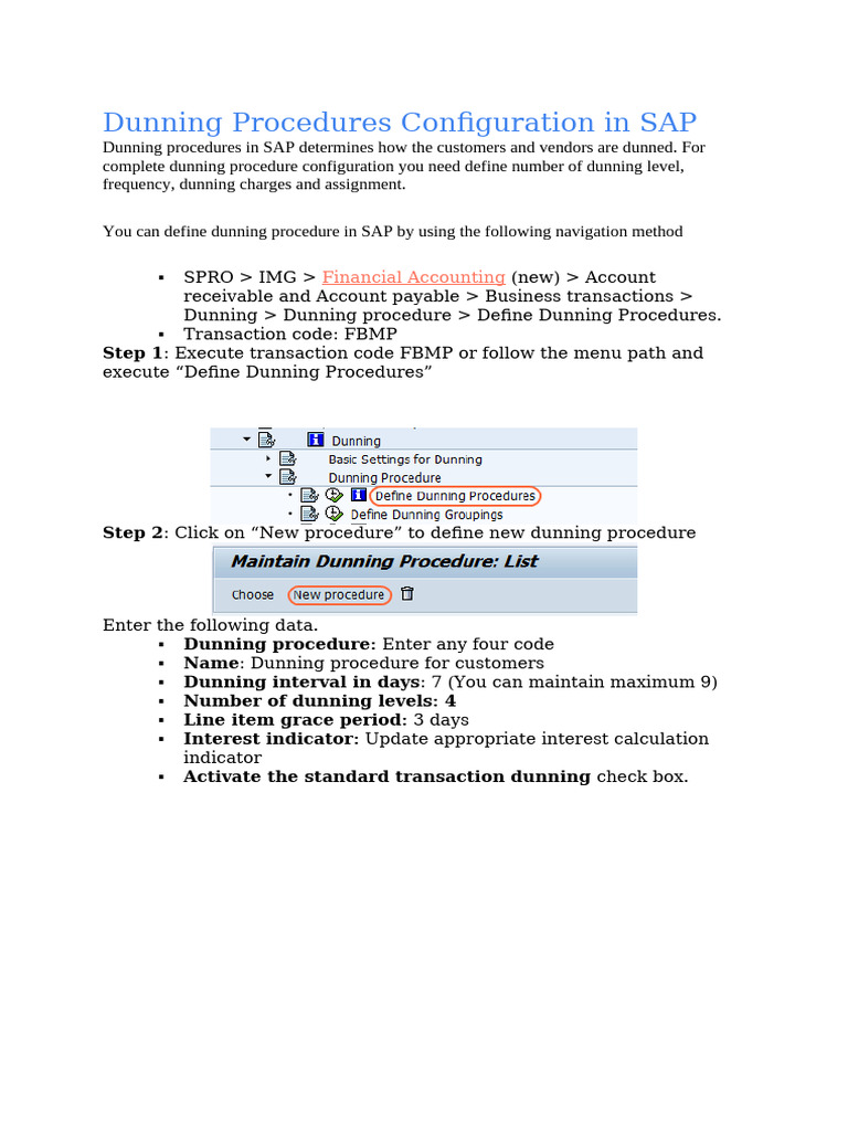Dunning Procedures Configuration in SAP | PDF