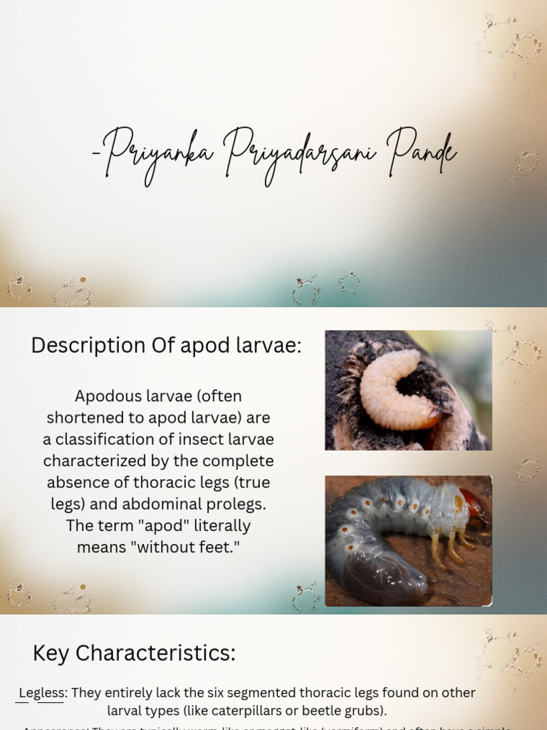 Characteristics of Apodous Larvae | PDF