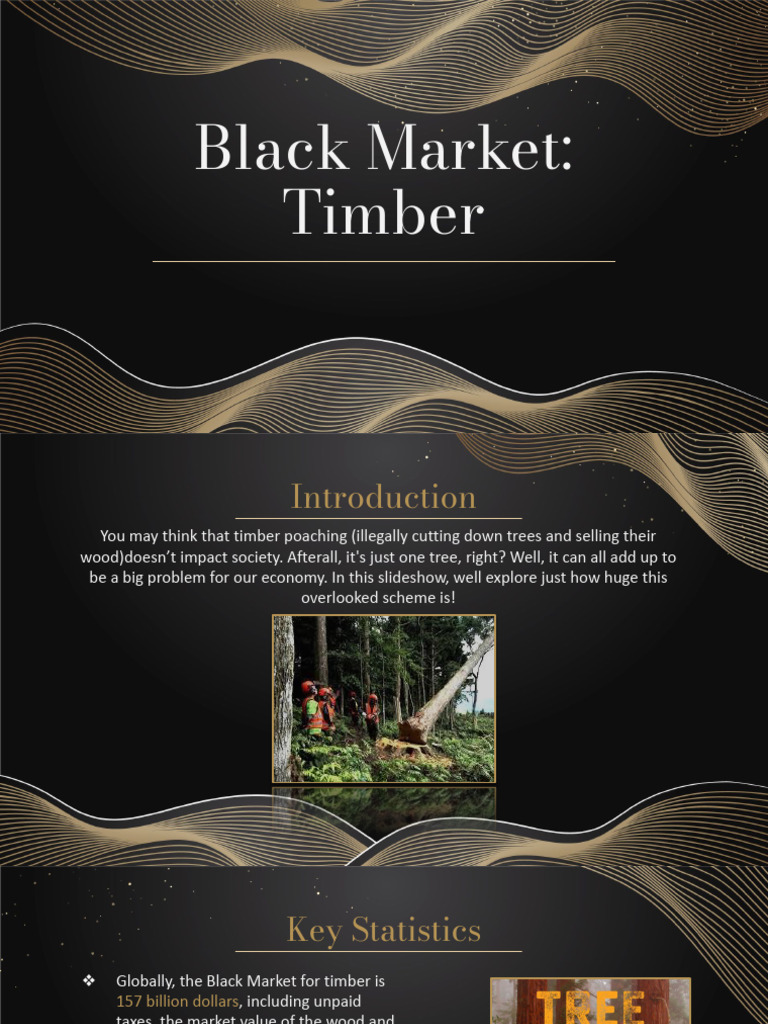 Black Market_ Timber | PDF | Lumber | Logging