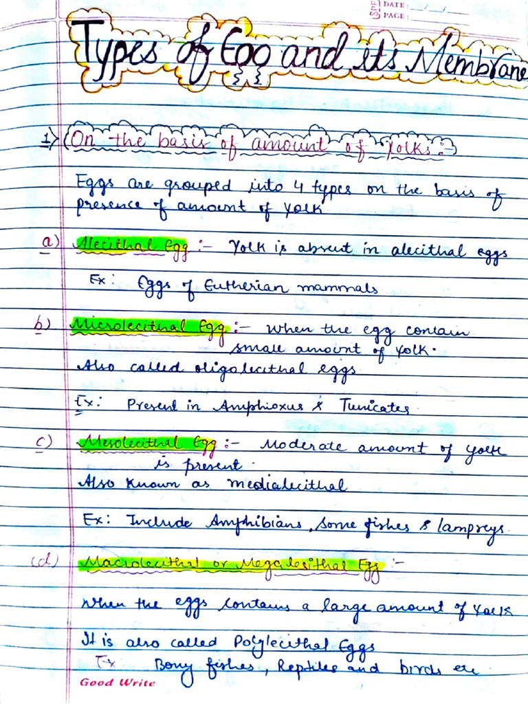 4 Type of Egg | PDF