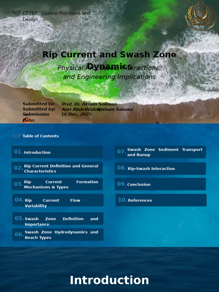 Rip Current and Swash Zone Dynamics | PDF | Oceanography | Earth Sciences
