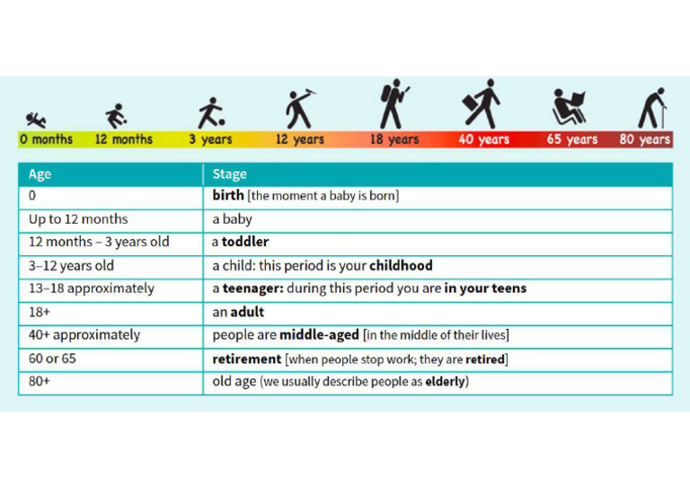 Ages and Stages of Life | PDF