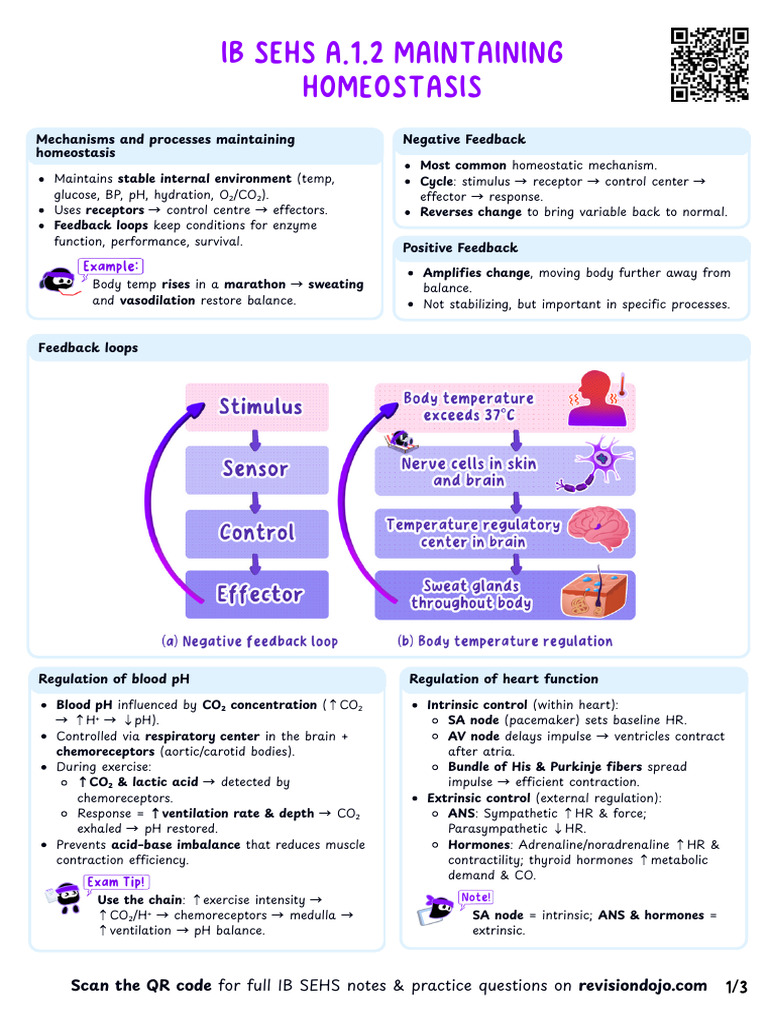 Sports, Exercise and Health Science (SEHS) a.1.2 Maintaining ...