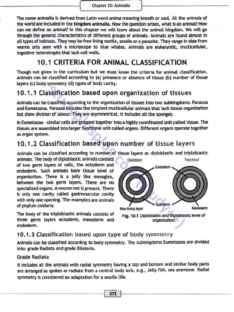 CH 10 Biology | PDF