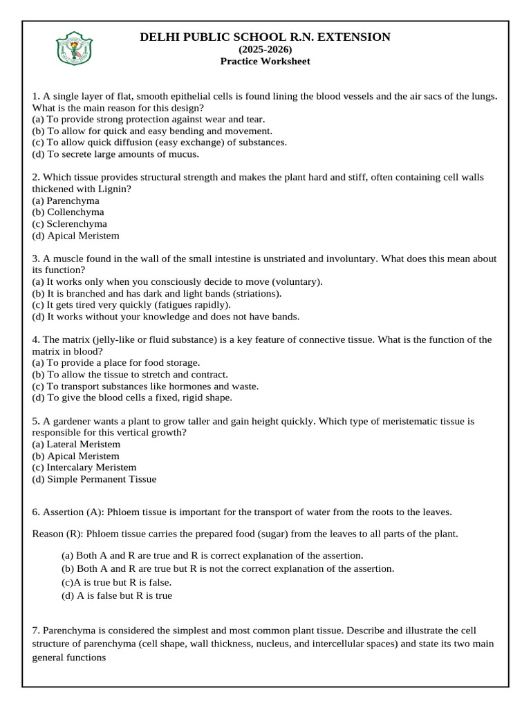 Delhi Public School Epithelial & Tissue Worksheet | PDF | Tissue ...