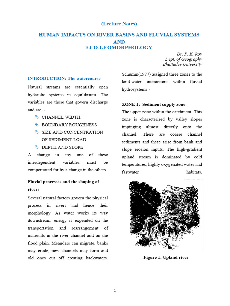 Human Impacts on River Ecosystems | PDF | River | Stream