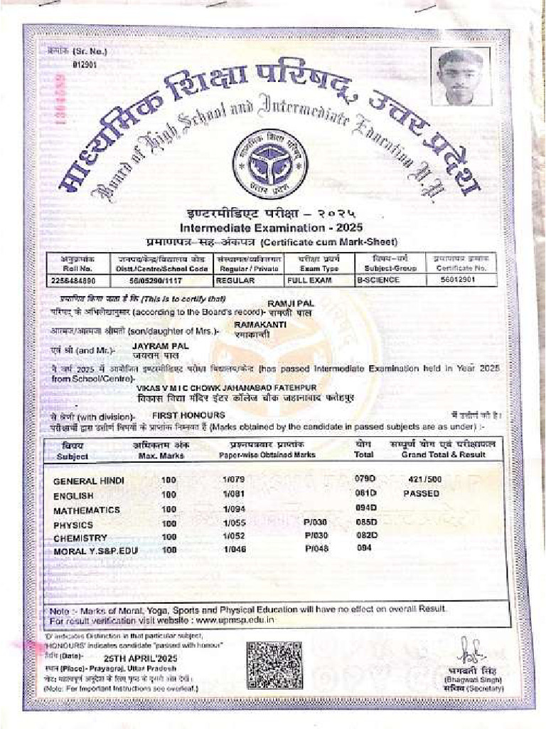 Board Certificate | PDF